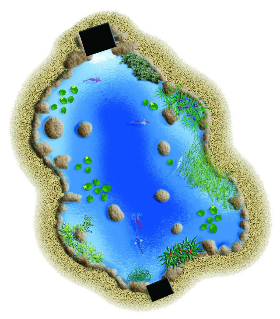 Large-pond-diagram | Atlantic Ponds