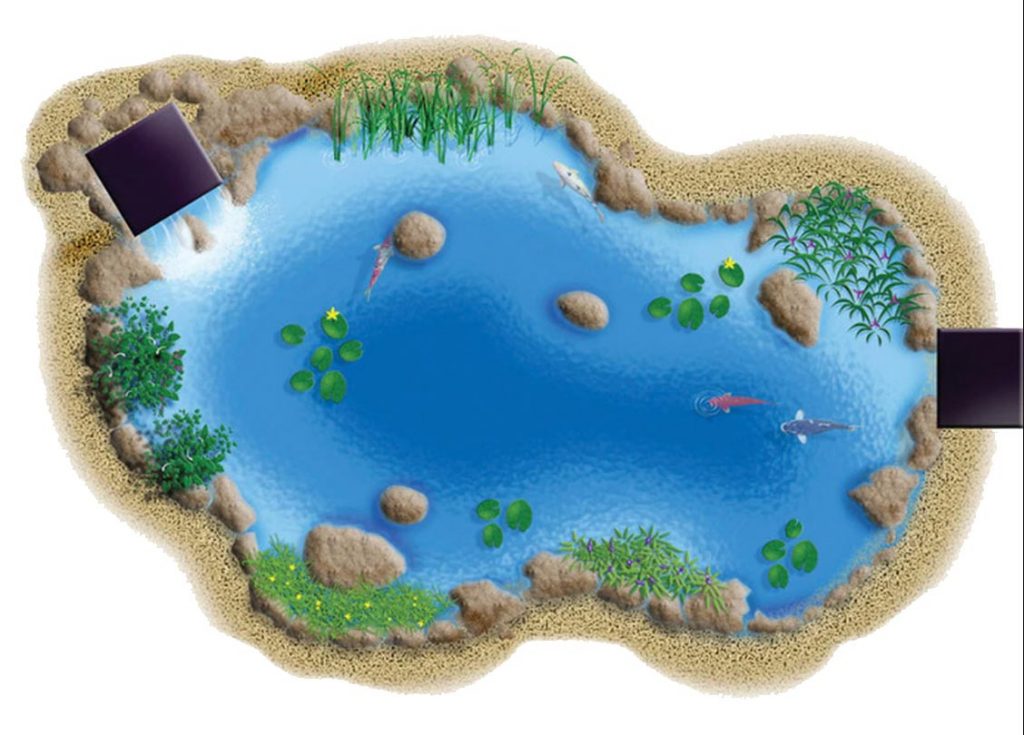 Medium-pond-diagram | Atlantic Ponds