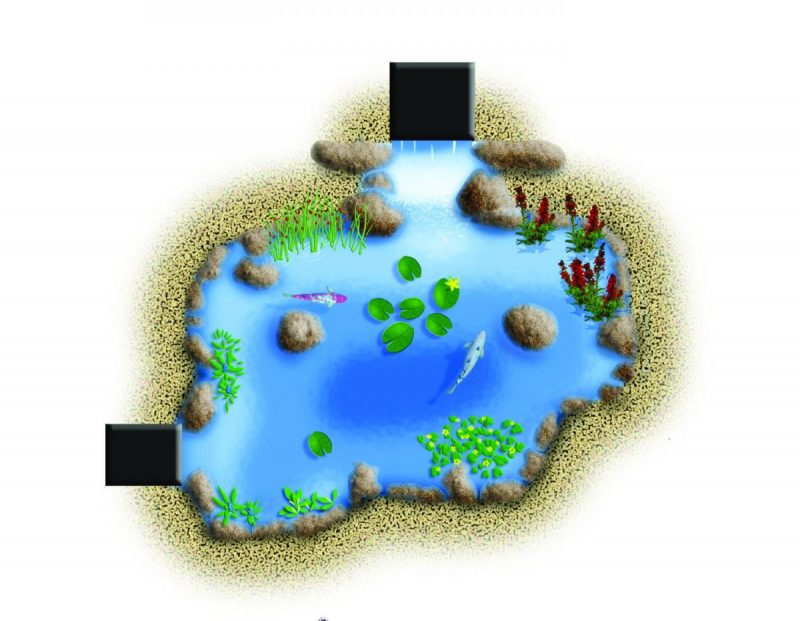 Small Pond Diagram | Atlantic Ponds